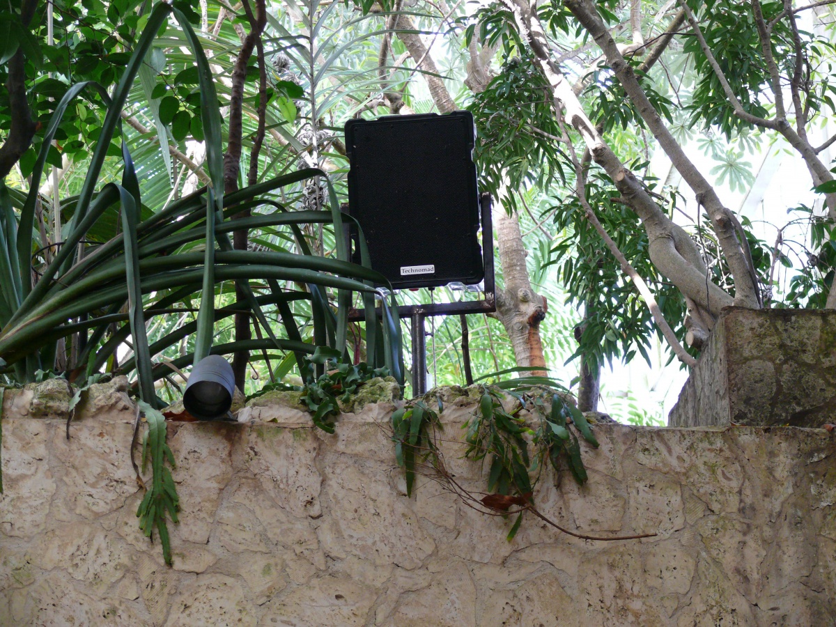 Announcer Systems | Announcer PA Systems | Technomad Audio Systems